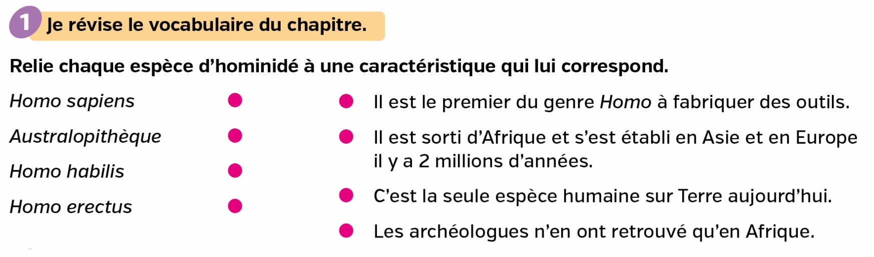 Les débuts de l’humanité – GILLES ROUMIEUX